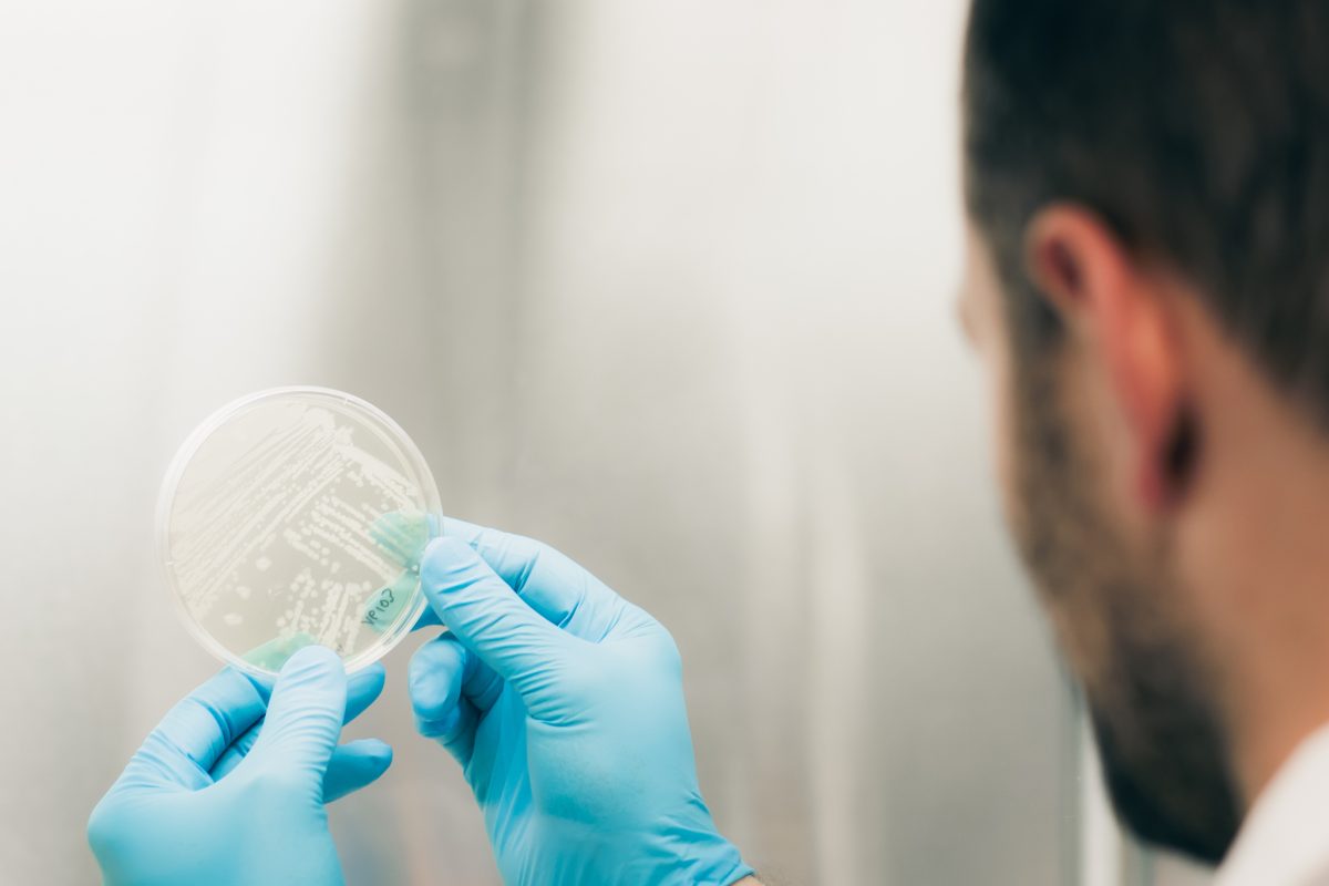 Probiotics in cleaning and care - Probiotic Group